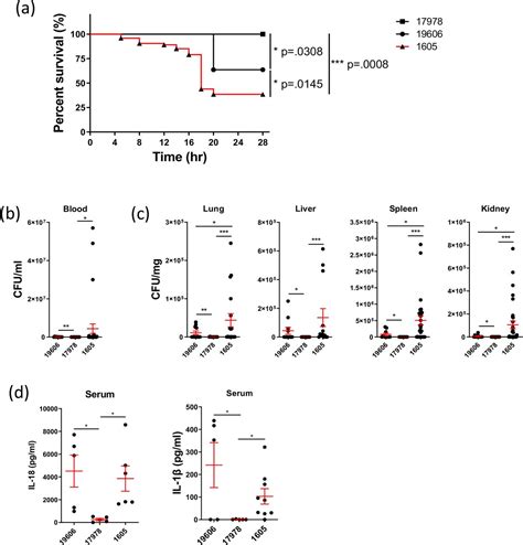 Bacteria Culture Acinetobacter Baumannii Strains Atcc Bioz
