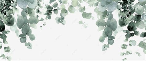 녹색 추상 테두리 추상적인 초록 액자 Png 일러스트 및 이미지 에 대한 무료 다운로드 Pngtree