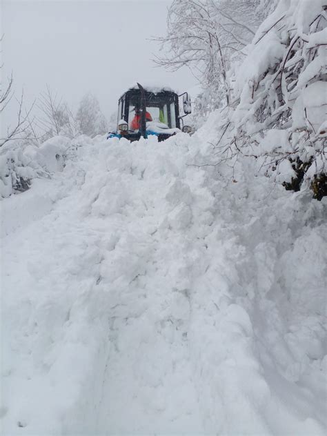 აჭარის აჭარის საავტომობილო გზების დეპარტამენტი