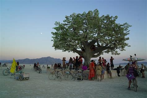 Tree Of Ténéré Responds To Burning Man Attendees With Light Patterns