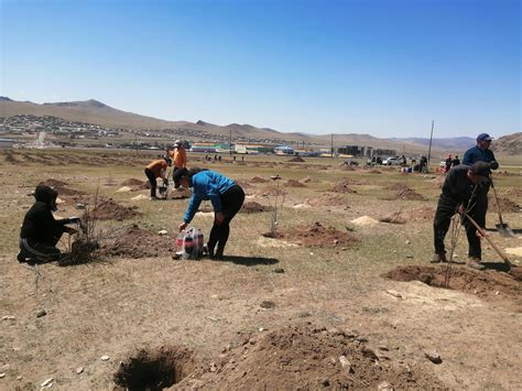 ТЭРБУМ МОД үндэсний хөдөлгөөнд Хужирт сумын ИТХ ын төлөөлөгчид нэгдэж хуваарьт талбайдаа мод