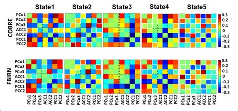 Dynamic Connectivity States Results The Five Dfc States Identified Download Scientific