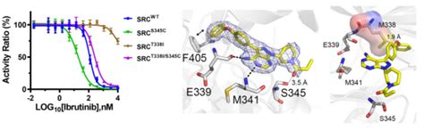 陈永恒教授团队在《bioorganic And Medicinal Chemistry Letters》发表src靶向抗癌药物最新研究成果 卫健委