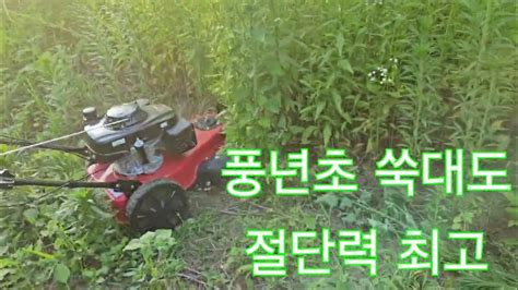 상업용 혼다 엔진 Gxv160 자주식 긴풀제초기 긴풀 절삭력 최고 Youtube