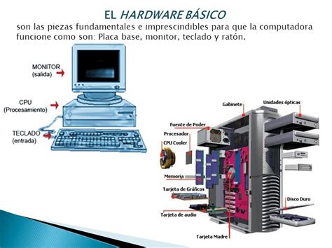 Estructura De Una Computadora Hardware Y Software My Xxx Hot Girl