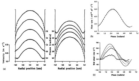 7 The Pulsatile Behaviour Of A The Pulsating Velocity Profiles B Download Scientific