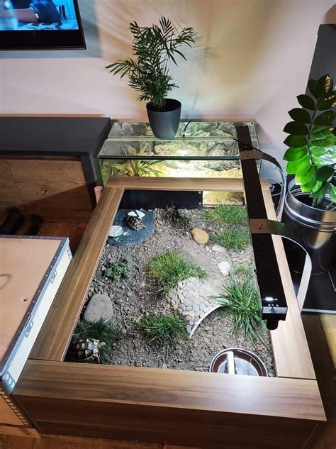 Turtle Table Decoration