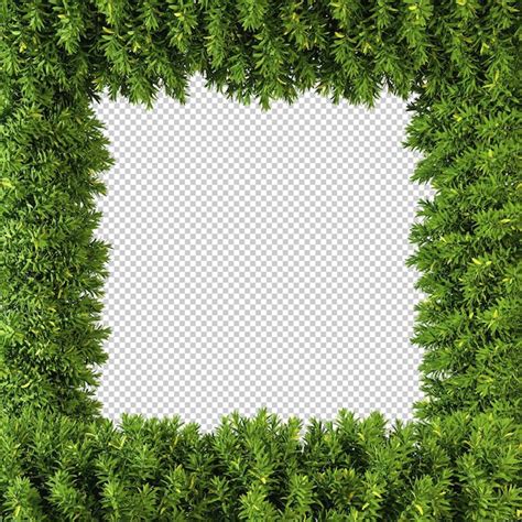 Premium Psd Nature Green Tree Plants Rectangle Frame 3d Rendering Premium Psd Nature Green Tree Plants Rectangle Frame 3d Rendering