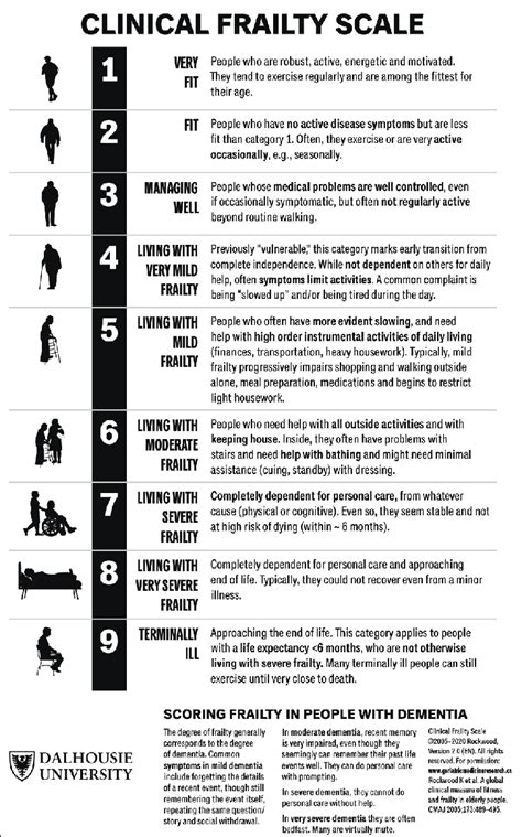 Lightning Learning Clinical Frailty Scale Em3 East