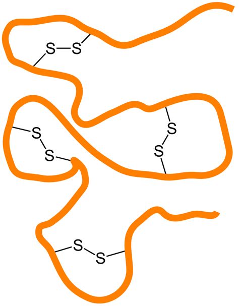 ملف Disulfide Bridges Schematic V 1 Svg المعرفة