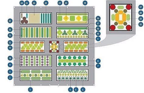 Схема посадки овощей на огороде Посадка овощей Огород Клумбы