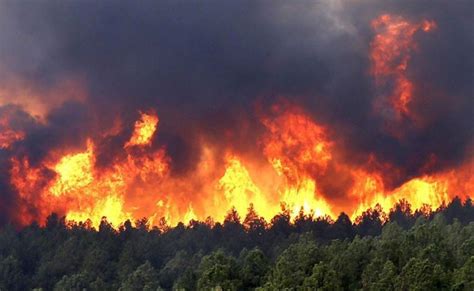 66 удаагийн ой хээрийн түймэр гарчээ