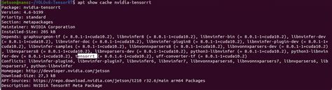 Run Yolov8n On A Jetson Nano · Issue 29 · Triple Muyolov8 Tensorrt · Github
