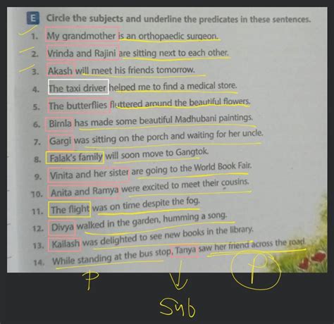 identify the subjects and the predicates in these sentences 6 marks