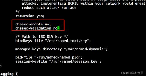 linux服务器dns域名解析服务（包含缓存域名服务器配置实验以及主从域名服务器配置实验） linux 配置域名 csdn博客