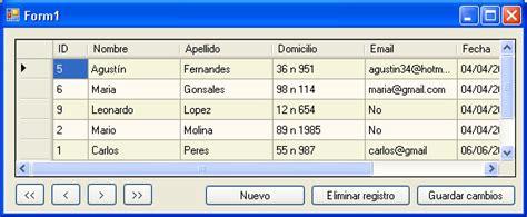 Datagridview Guardar Y Eliminar