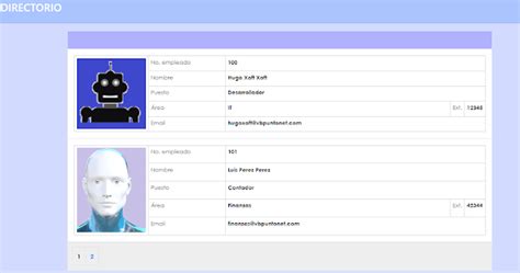Formato A Gridview En Asp Net