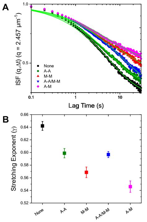 Ddm Analysis Reveals Heterogenous Non Ergodic Transport Amplified In Download Scientific Ddm Analysis Reveals Heterogenous Non Ergodic Transport Amplified In Download Scientific