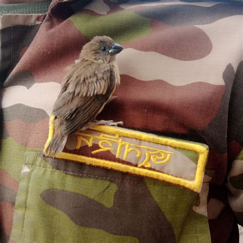 Muhammad Junaid Hassan