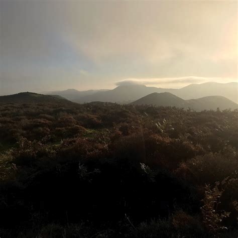 Isobel Bushell Isobelbushelldesign • Instagram Photos And Videos