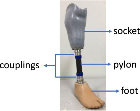 Elements Of A Transtibial Prosthesis Download Scientific Diagram Elements Of A Transtibial Prosthesis Download Scientific Diagram