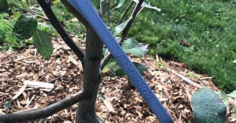 I Designed And Printed Some Fruit Tree Limb Spreaders Album On Imgur