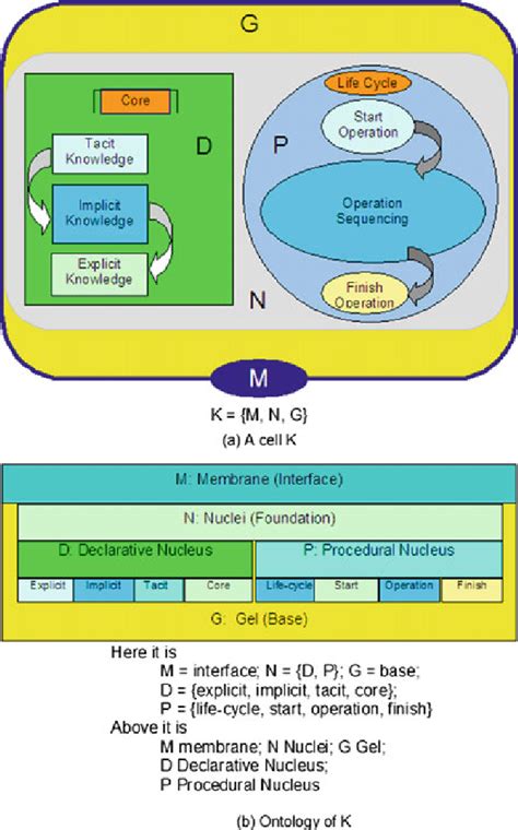 A Concept Cell K A A Slice B Hierarchy Download Scientific Diagram