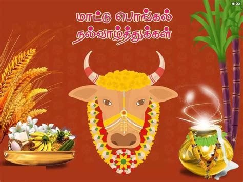 Mattu Pongal Wishes In Tamil மாட்டு பொங்கல் வாழ்த்து செய்தியை இப்படியும் சொல்லலாம் தெரியுமா