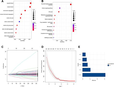 Frontiers Identification And Validation Of A Novel Cuproptosis Related Genes Signature