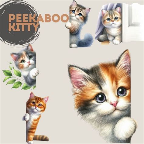 Peekaboo Kitty