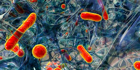 Breaking Through Protective Barrier Of Bacteria Mirage News