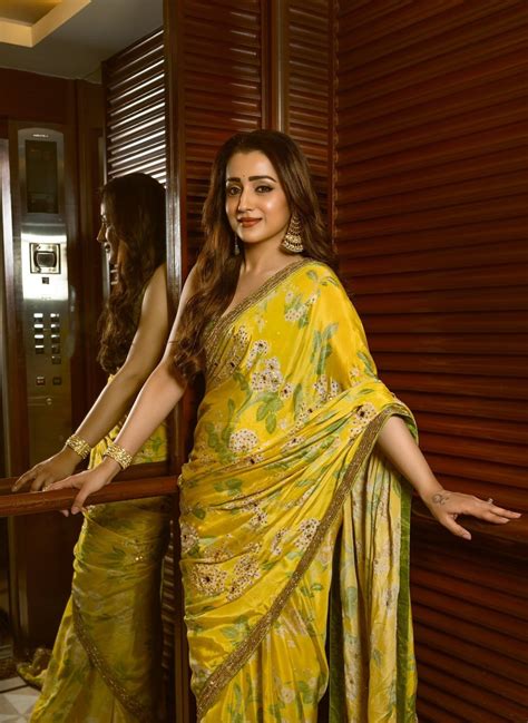 Trisha Krishnan R Hottamilcelebs