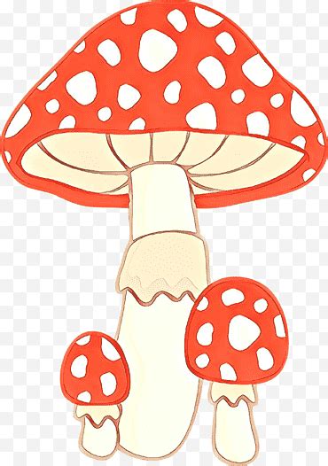 เห็ดฟาง Png Klipartz