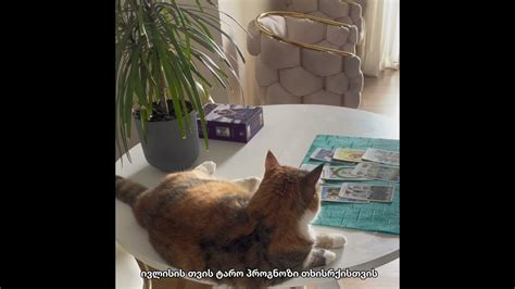 თხის რქა ივლისის თვის ტარო პროგნოზი Youtube