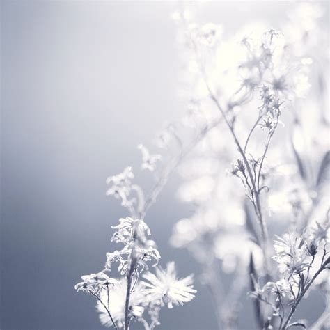 Qt开发WindowsNotepad 续加仪的博客 开发学习记录