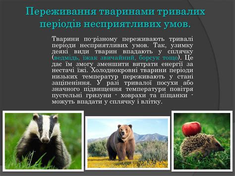 Презентація на тему Вплив Генотипу і факторів середовища на тварин — презентації з біології
