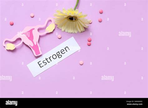 Word Estrogen With Hormonal Pills Paper Uterus And Flower On Purple
