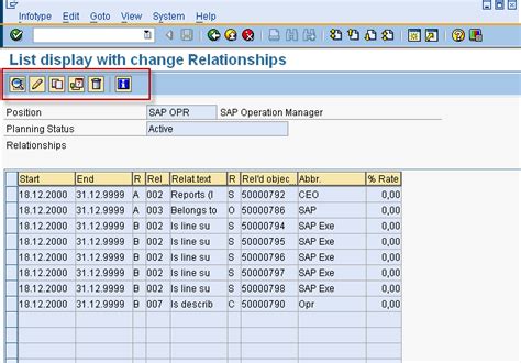 SAP HCM Sap Security Pages