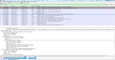 MQTT研究之EMQwireshark抓包分析 shihuc 博客园