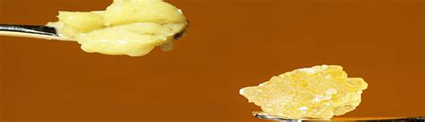 Solvent Vs Solventless Which One Is Better Best Cannabis Conceierge