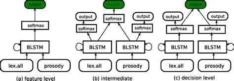 Blstm Feature Fusion At Different Levels Classifier P K Wd K κ Download Scientific Diagram