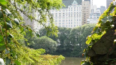 New York City Manhattan Midtown Central Park On Fifth 5 Avenue Usa