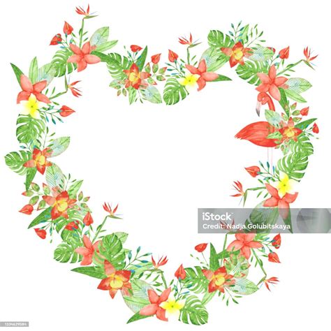 이국적인 꽃은 흰색 배경에 들리는 모양으로 프레임 열대 로맨틱 템플릿 낙원의 새 맬로 난초 몬스터 플라밍고 프레임 수채화 이국적인 화환 일러스트 파라다이스 프린트 0명에