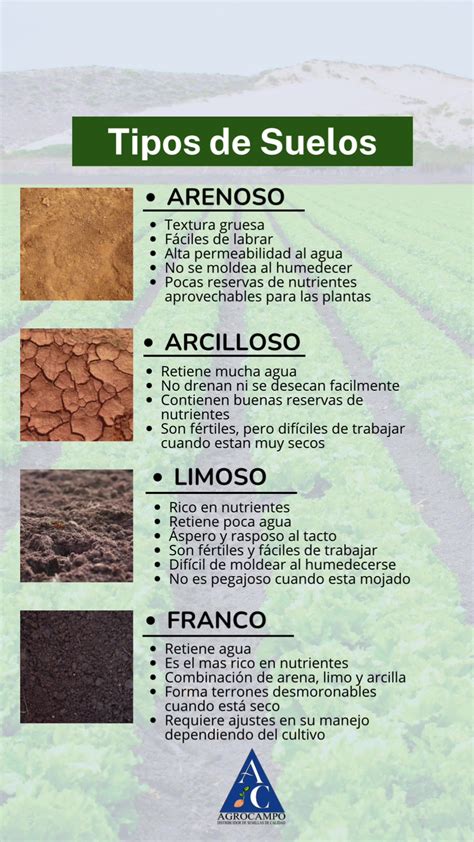 Hojas De Trabajo Sobre Las Capas Del Suelo Fertilidad Del Suelo