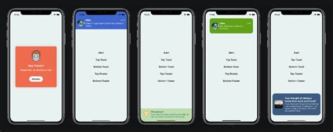 Toast Ios Example
