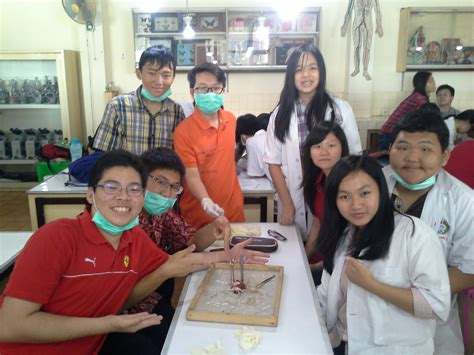 Biology Science Club St Louis1 Pembedahan Tikus