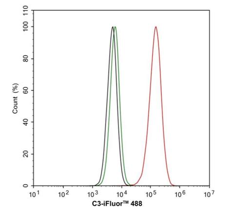 Complement C3 Antibody Jf10 30 Nbp2 66994 By Novus Part Of Bio Techne