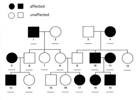 Genetics Final Exam Flashcards Quizlet