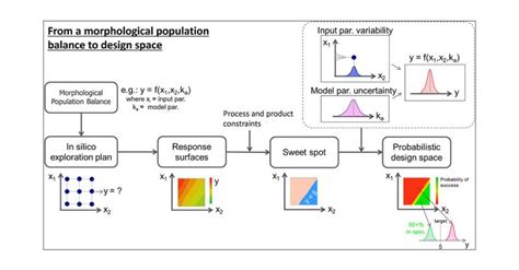 Using Morphological Population Balance To Develop A Model Driven Quality By Design Approach For