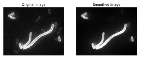 Scikit Shape A Python Toolbox For Shape Detection And Analysis In Images
